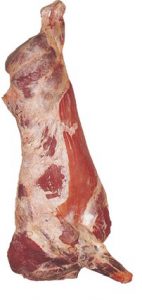 Beef carcass young bull E – Stelma Services